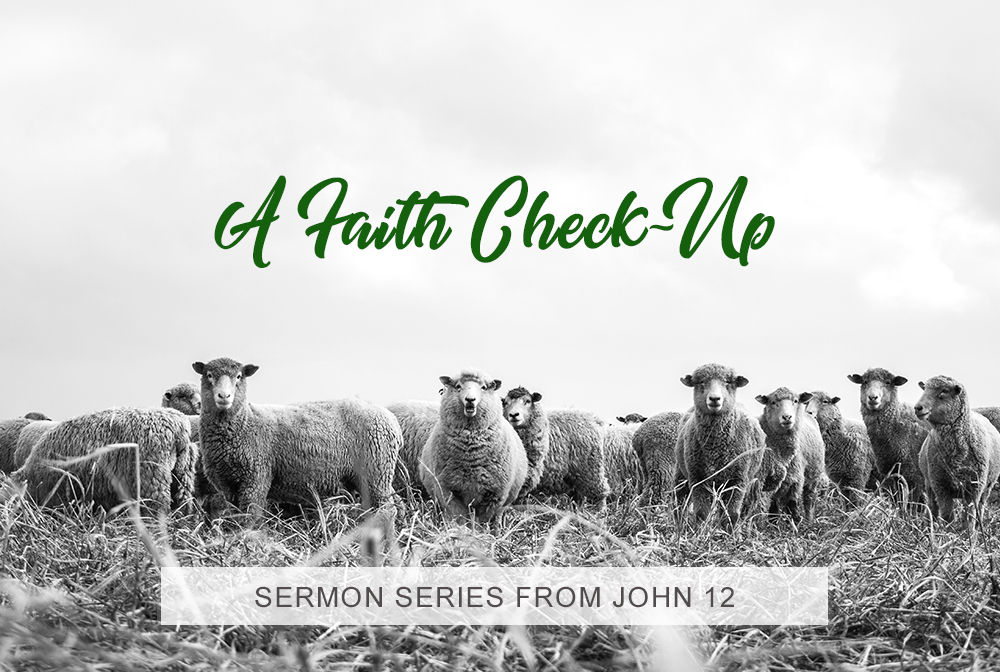 A Faith Check-Up | Grace Bible Church